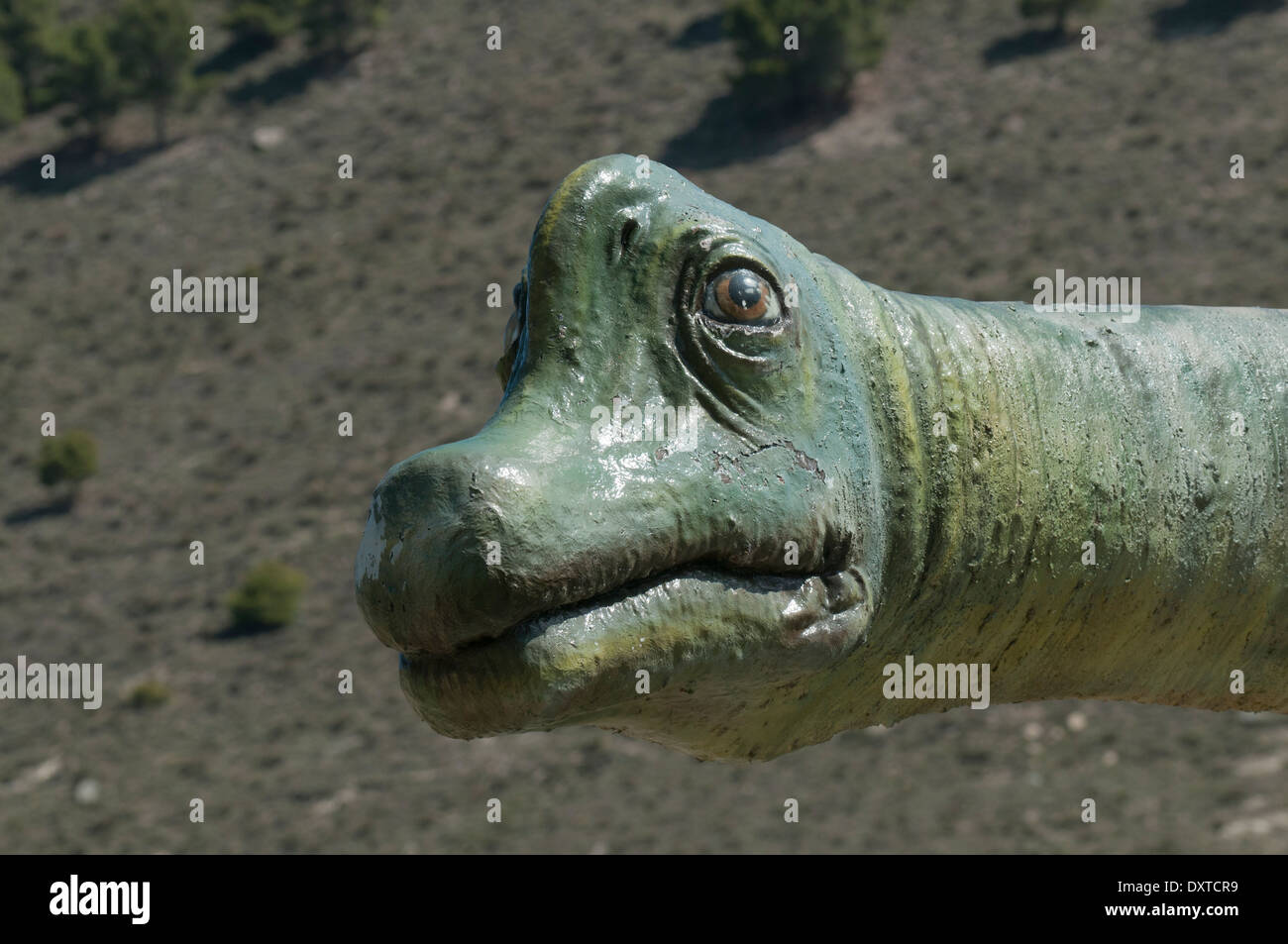 Real.size recreation model of Sauropod dinosaur made from fiberglass ...