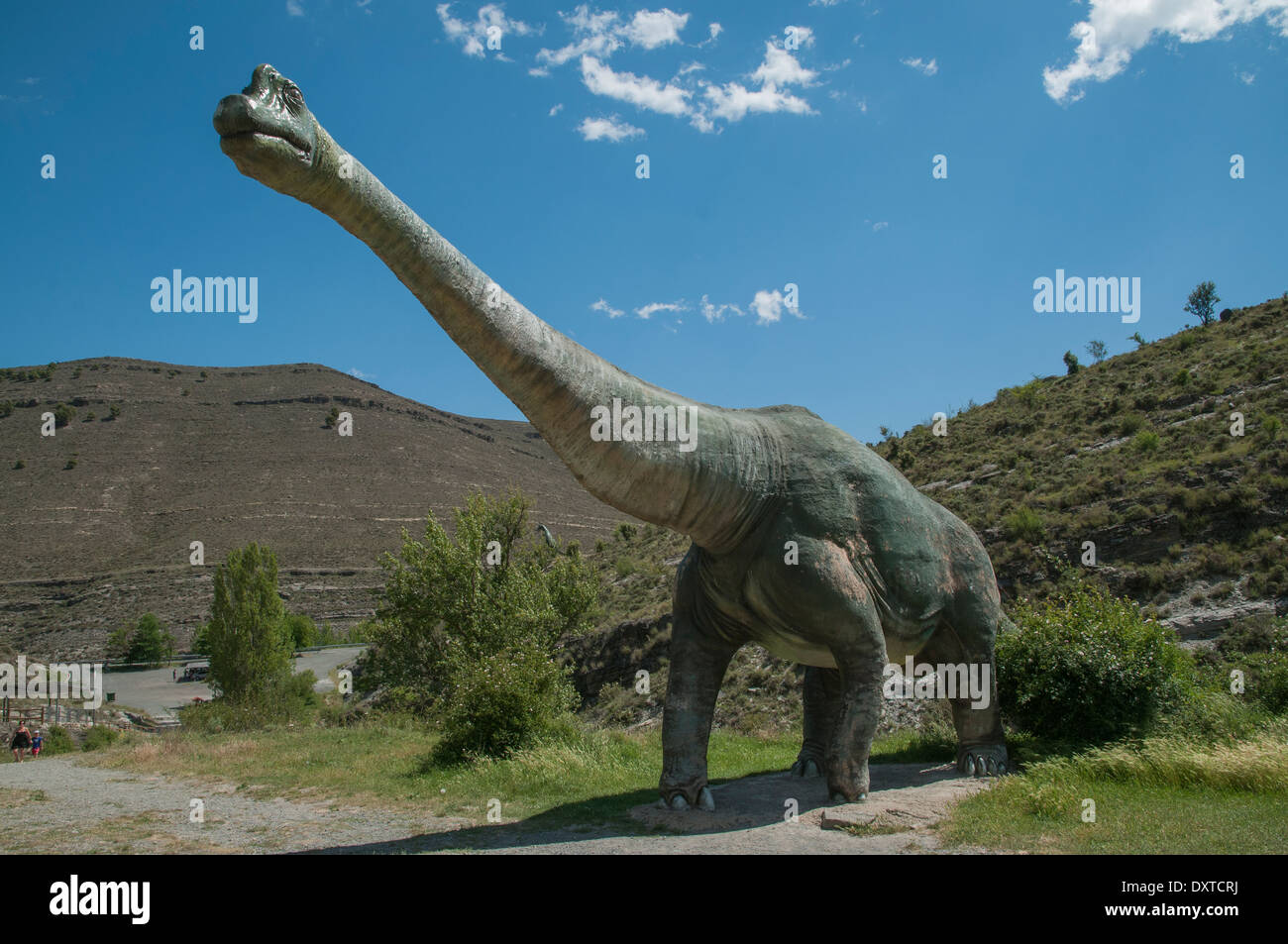 Real.size recreation model of Sauropod dinosaur made from fiberglass ...
