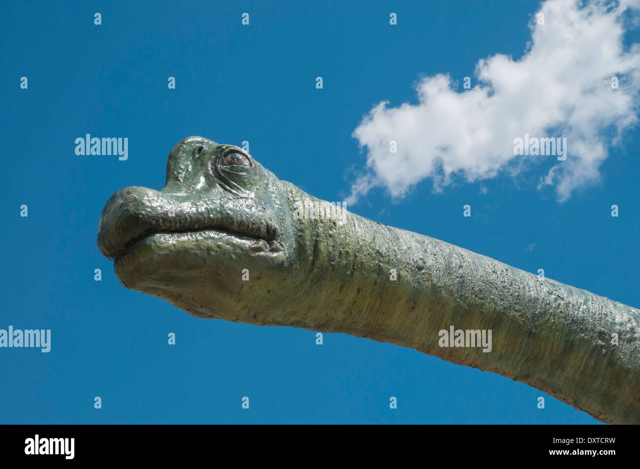 Real.size recreation model of Sauropod dinosaur made from fiberglass ...