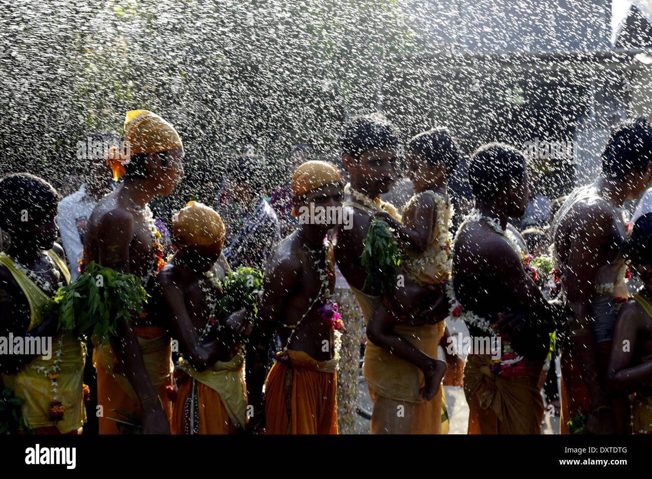 Yangon, Myanmar. 30th Mar, 2014. Hindu devotees celebrate a traditional ...