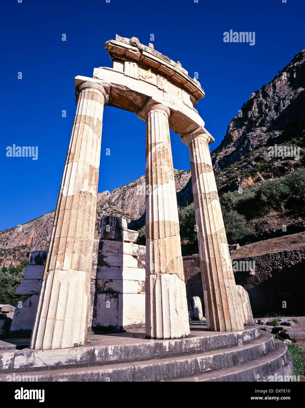 the Tholos ruins in the Sanctuary of Athena or Marmaria ancient Delphi ...