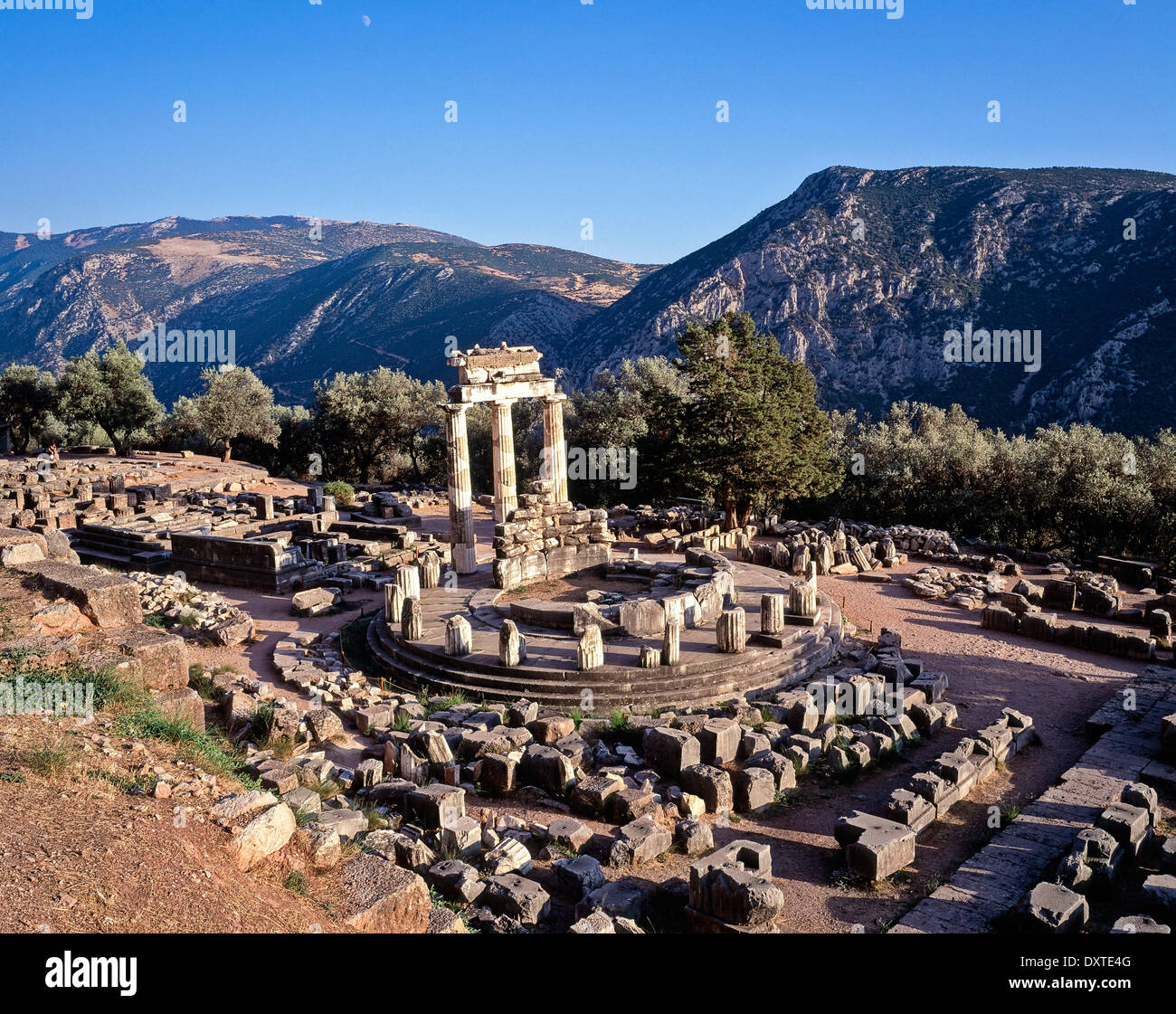 the Tholos ruins in the Sanctuary of Athena or Marmaria ancient Delphi ...
