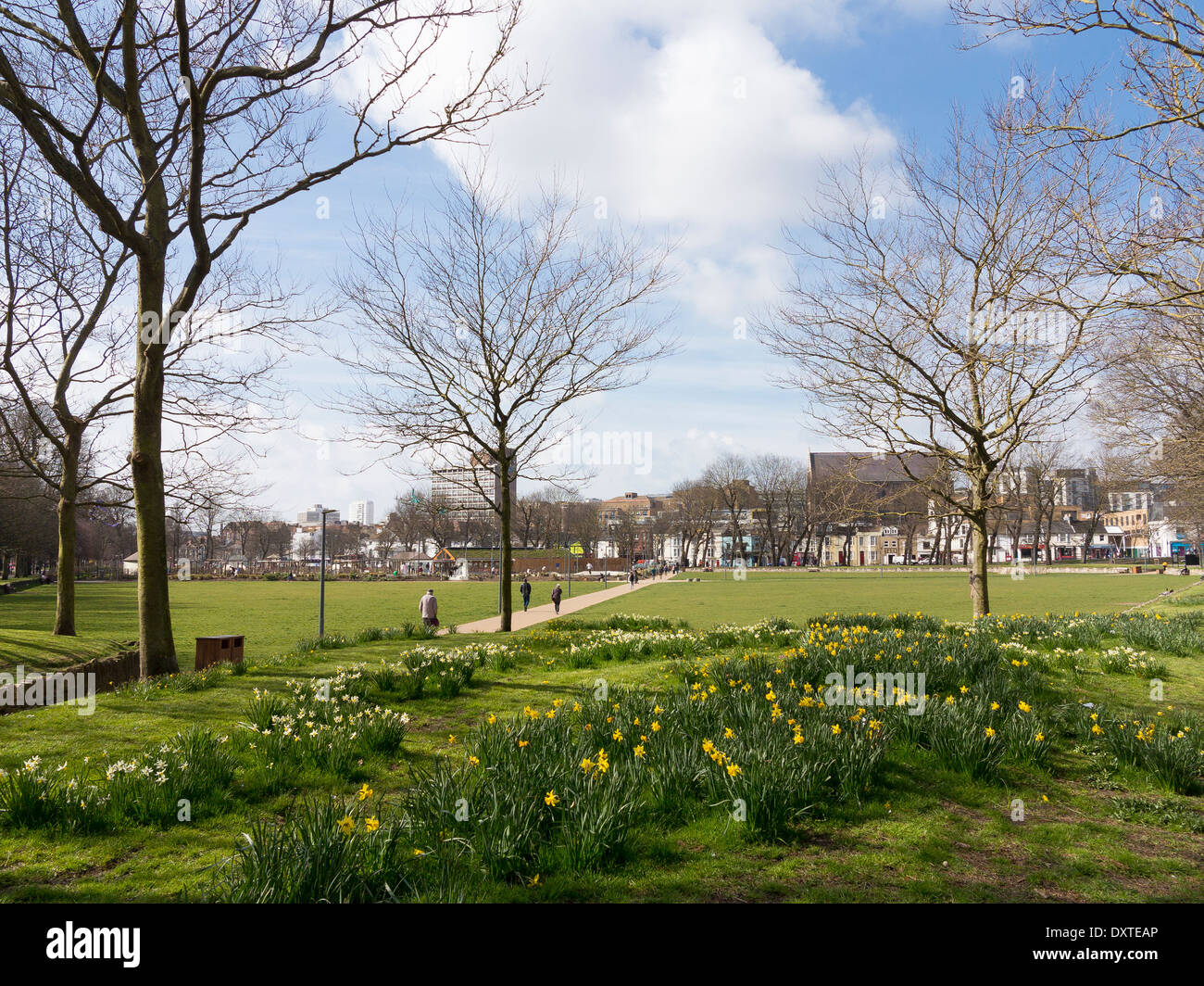The Level Skate Park High Resolution Stock Photography and Images - Alamy