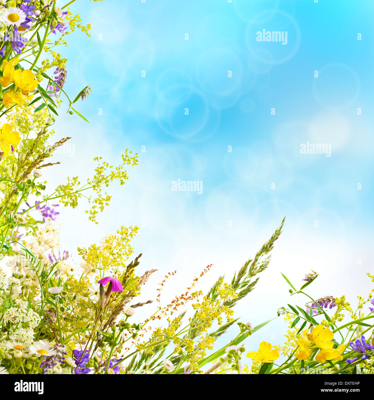 Floral easter background Stock Photo - Alamy