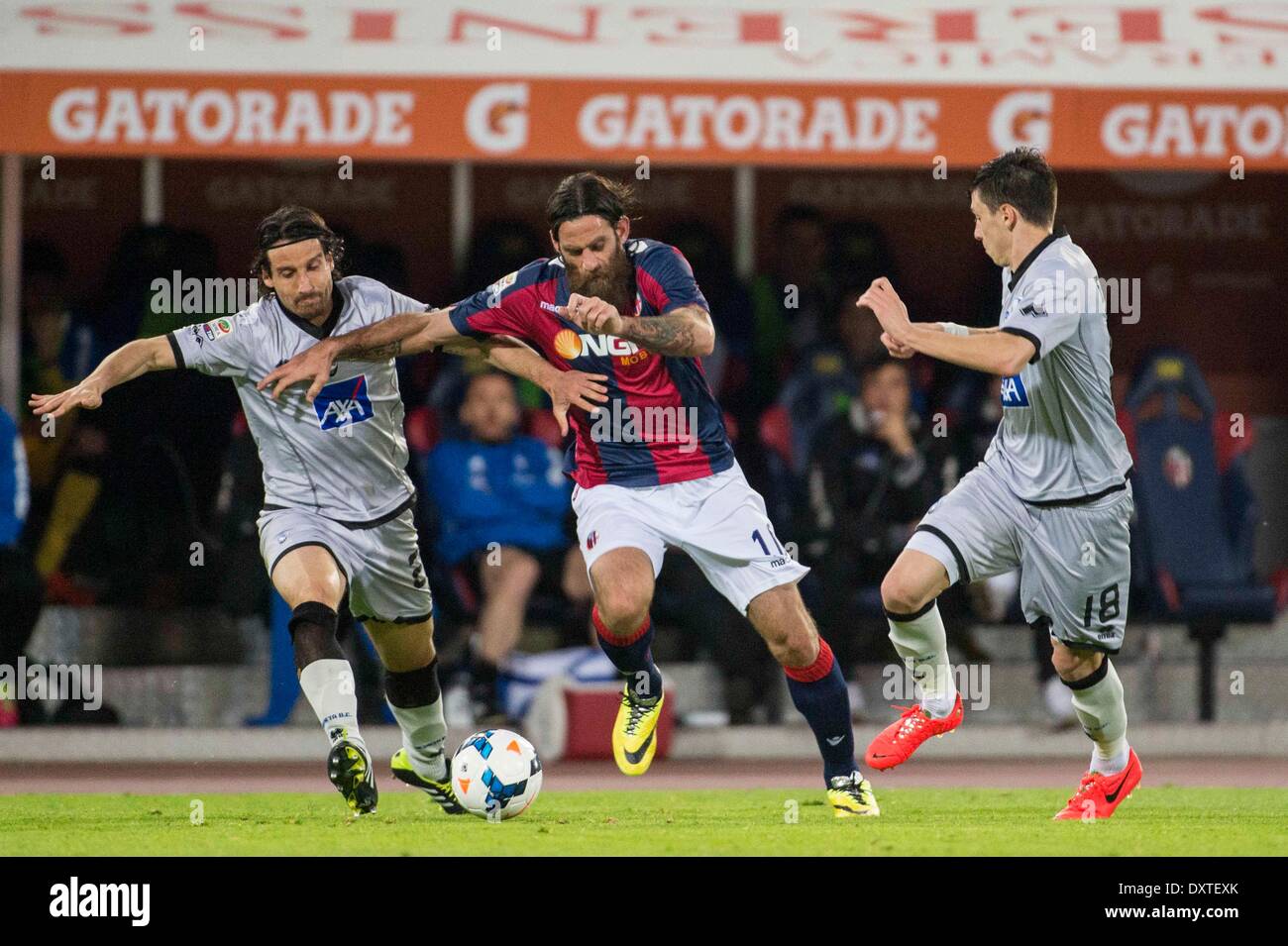 Moscardelli hi-res stock photography and images - Alamy