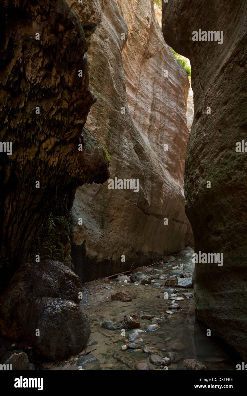 The Avakas Gorge - a narrow limestone canyon - on the Akamas Peninsula ...
