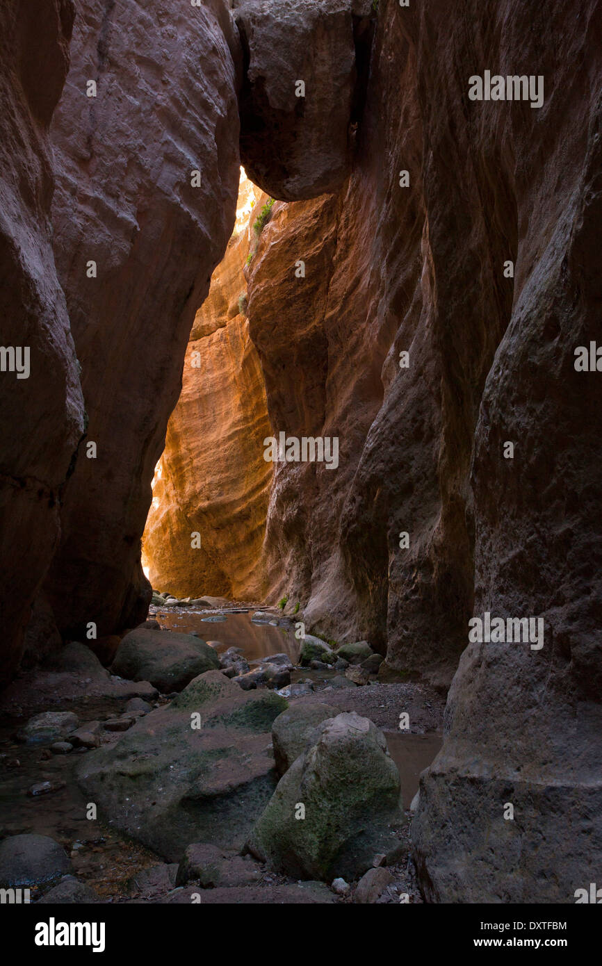The Avakas Gorge - a narrow limestone canyon - on the Akamas Peninsula ...