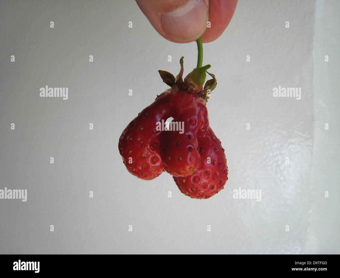 Unusual shaped strawberries Stock Photo - Alamy