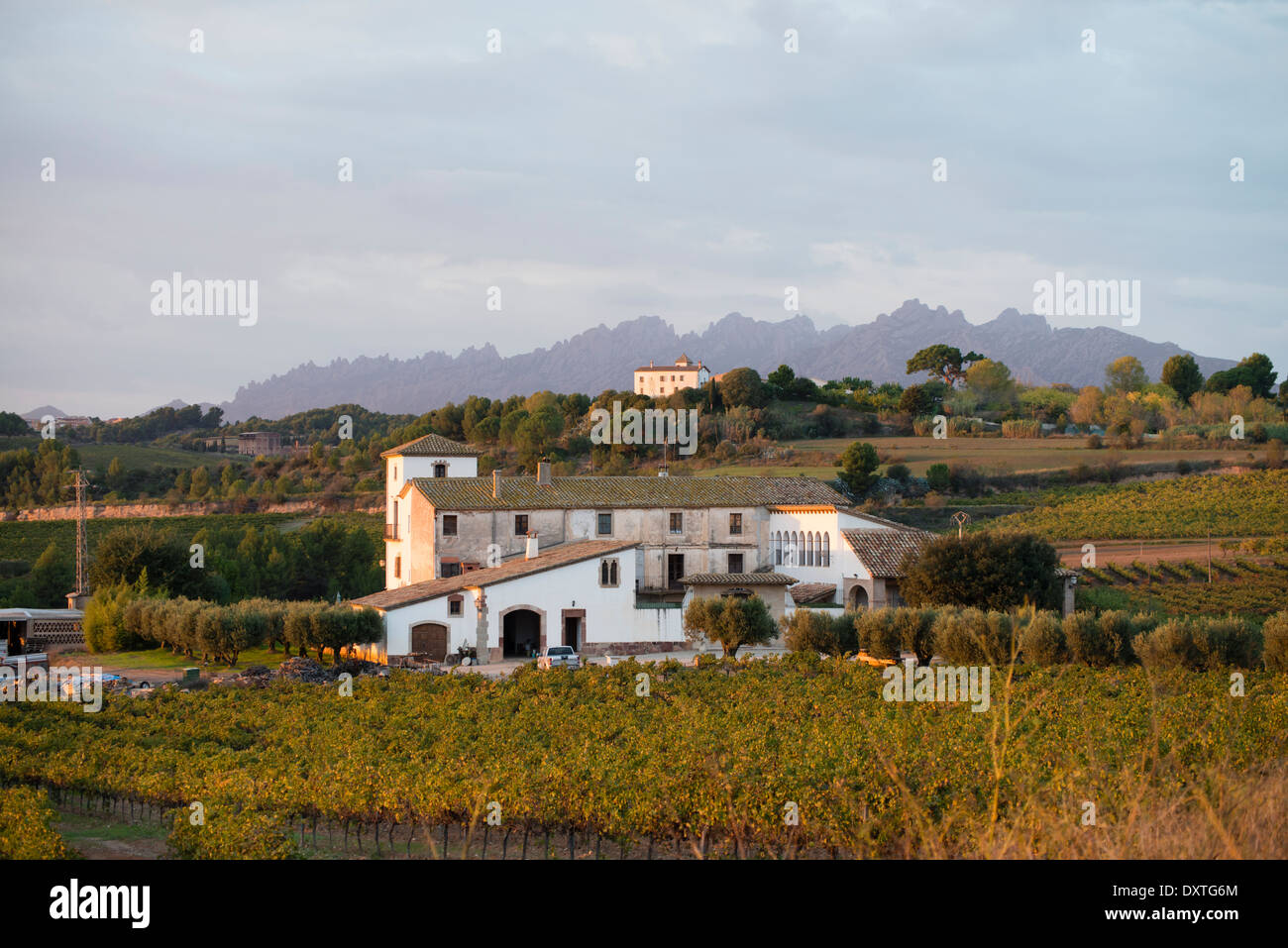 Penedes hi-res stock photography and images - Alamy