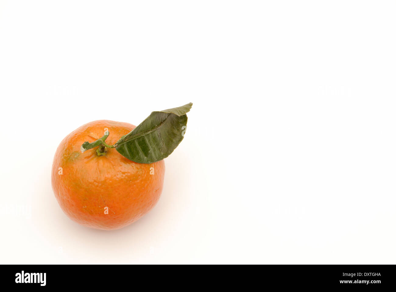 Single mandarin hi-res stock photography and images - Alamy