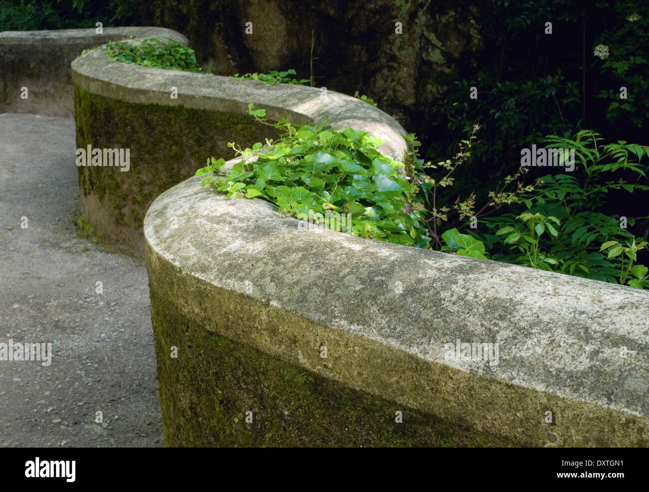 Wavy stone wall border vegetation growth hi-res stock photography and ...