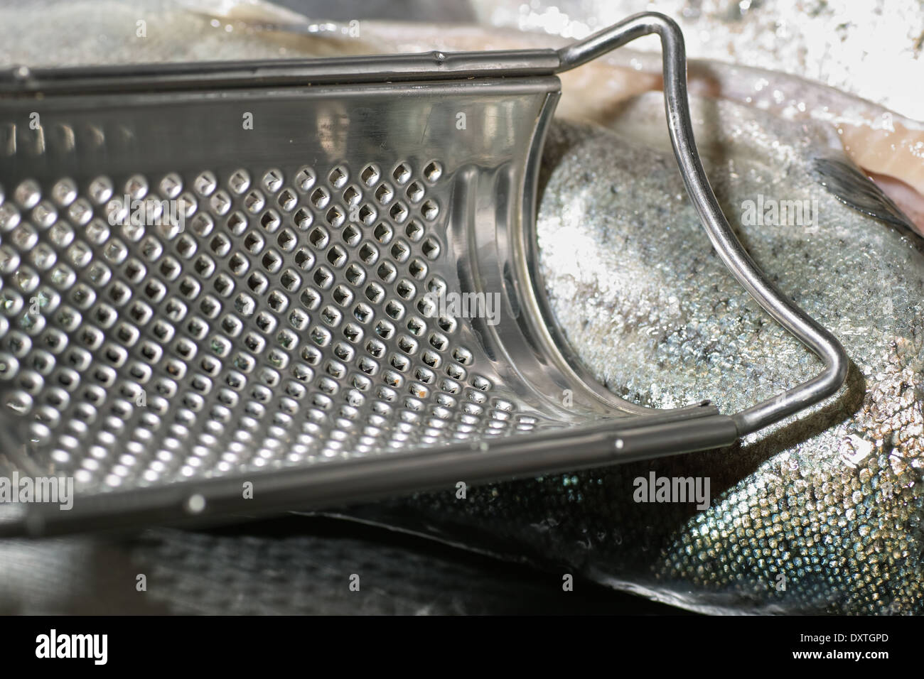 In Polish cuisine, on the Polish table. Trout from family fish ...