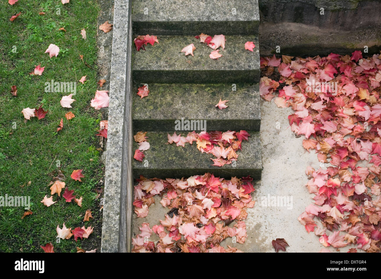 Concrete steps outdoors floor hi-res stock photography and images - Alamy