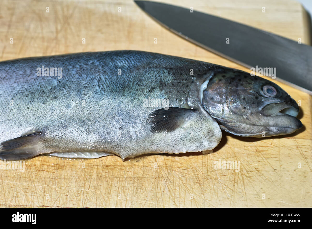 In Polish cuisine, on the Polish table. Trout from family fish ...