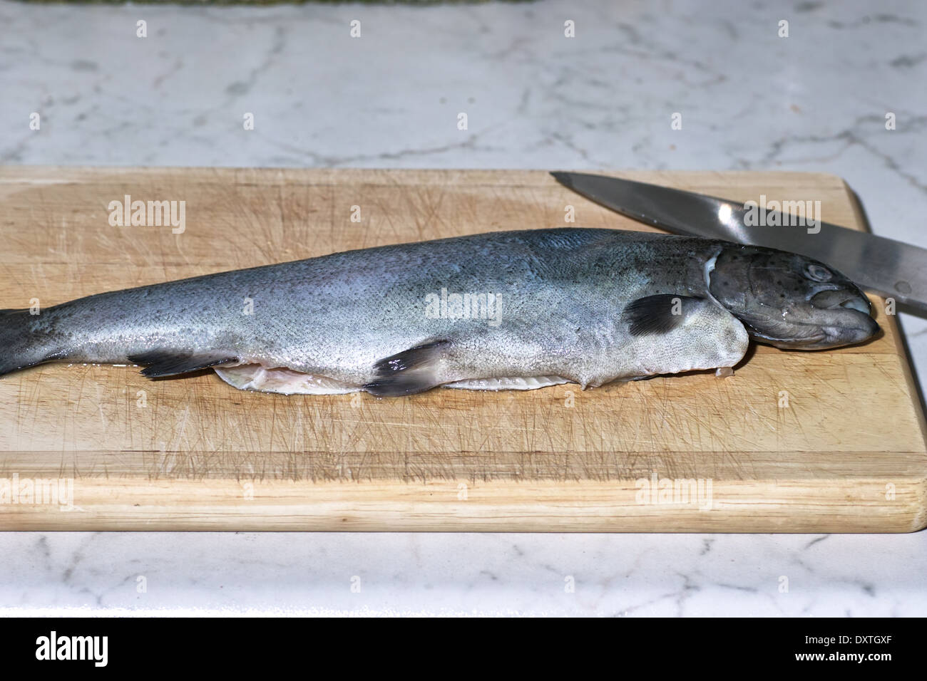 In Polish cuisine, on the Polish table. Trout from family fish ...