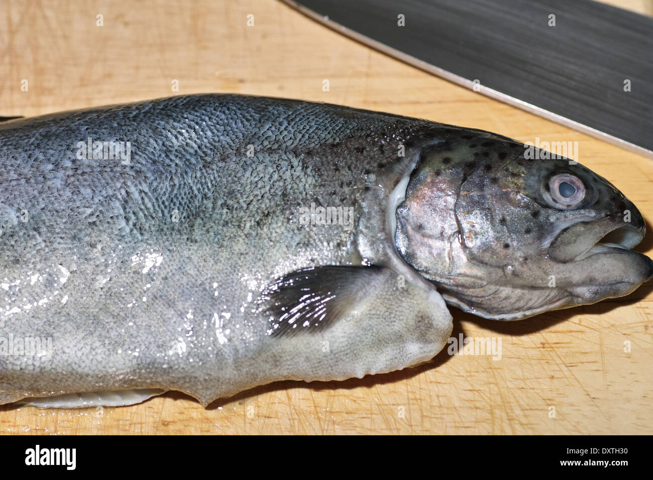 In Polish cuisine, on the Polish table. Trout from family fish ...