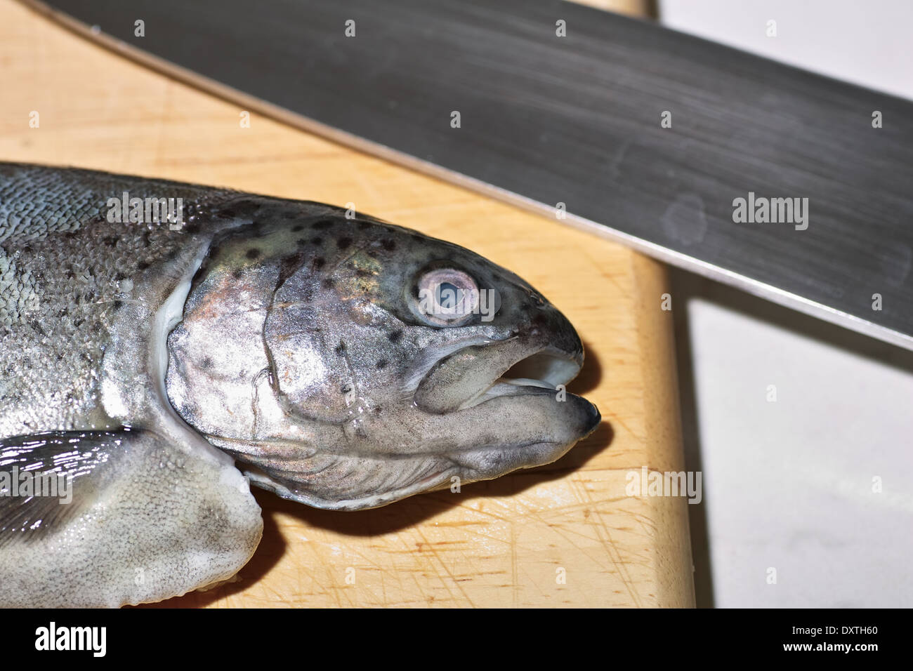 In Polish cuisine, on the Polish table. Trout from family fish ...
