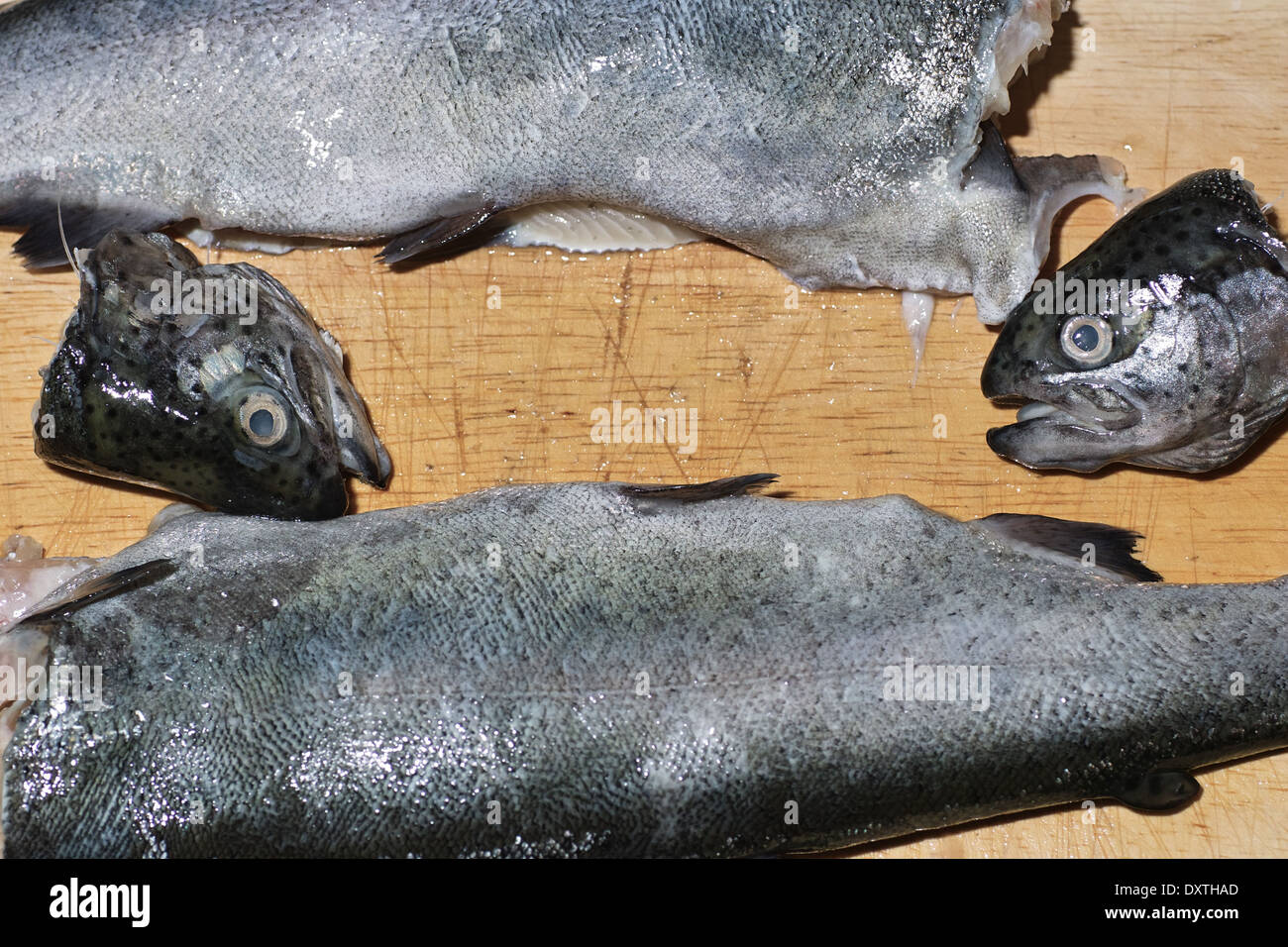 In Polish cuisine, on the Polish table. Trout from family fish ...