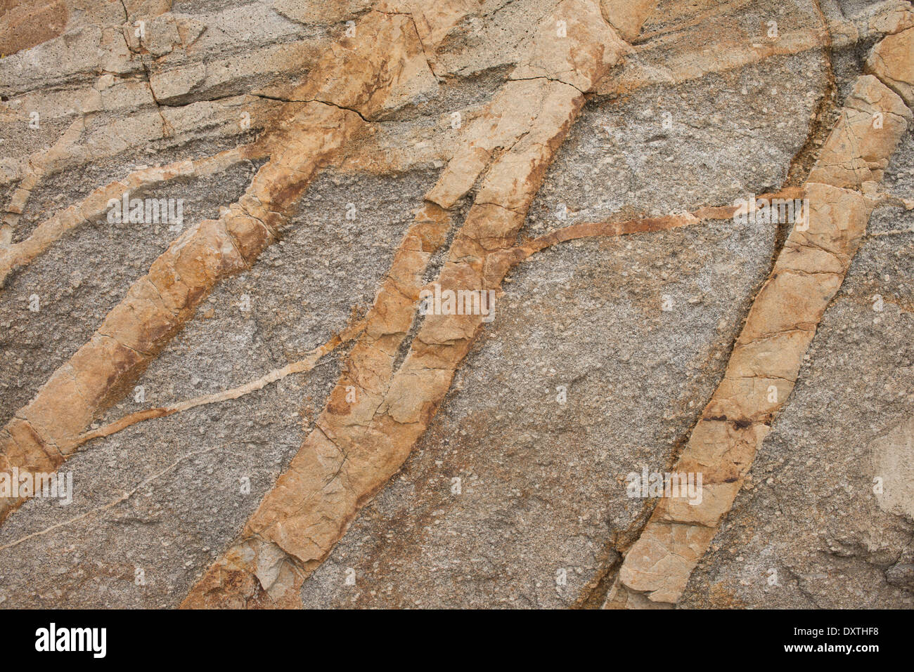 Sea quartzite hi-res stock photography and images - Alamy