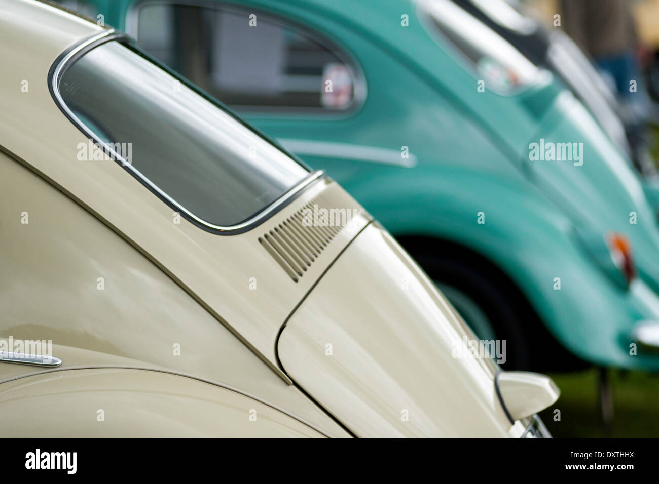 Volkswagen Beetle Rear Window at Hilton Miller blog