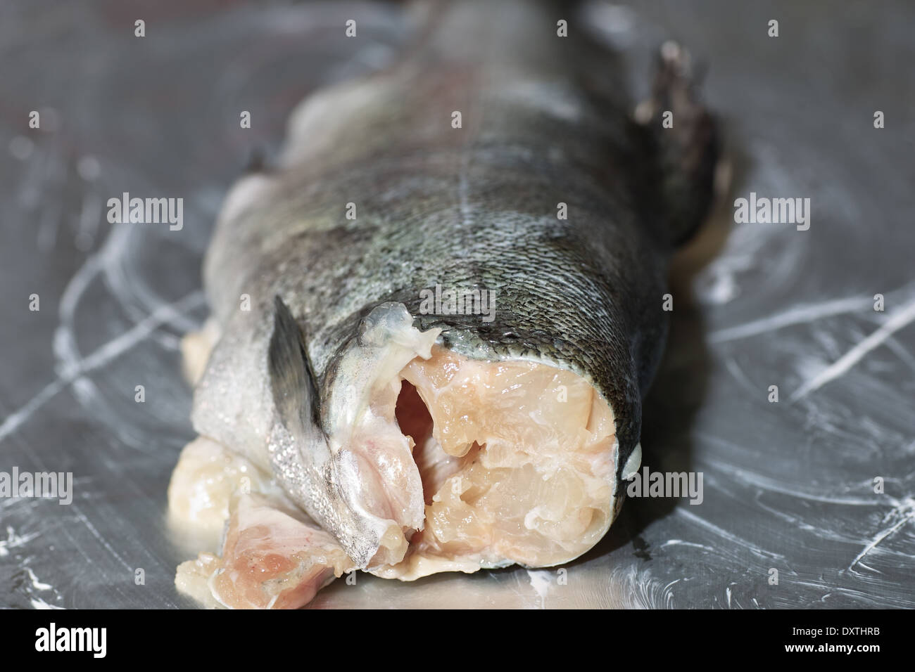 In Polish cuisine, on the Polish table. Trout from family fish ...
