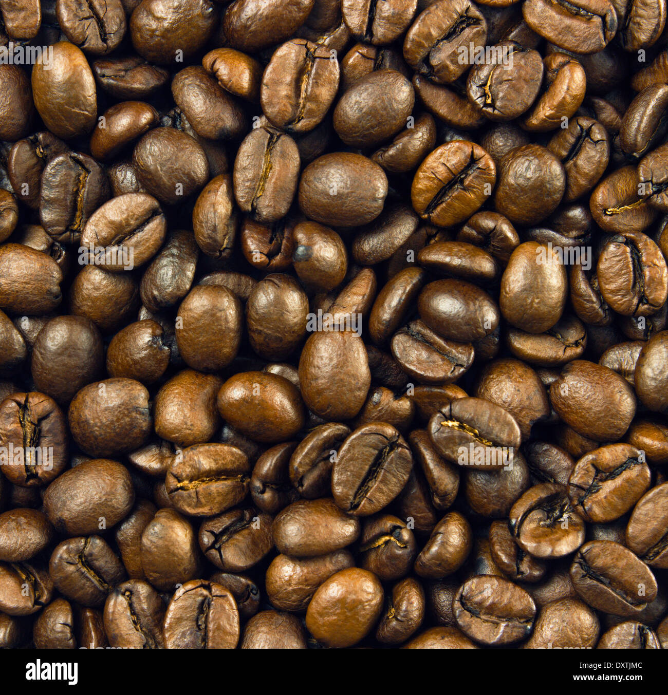 Dark brown coffee beans square hi-res stock photography and images - Alamy