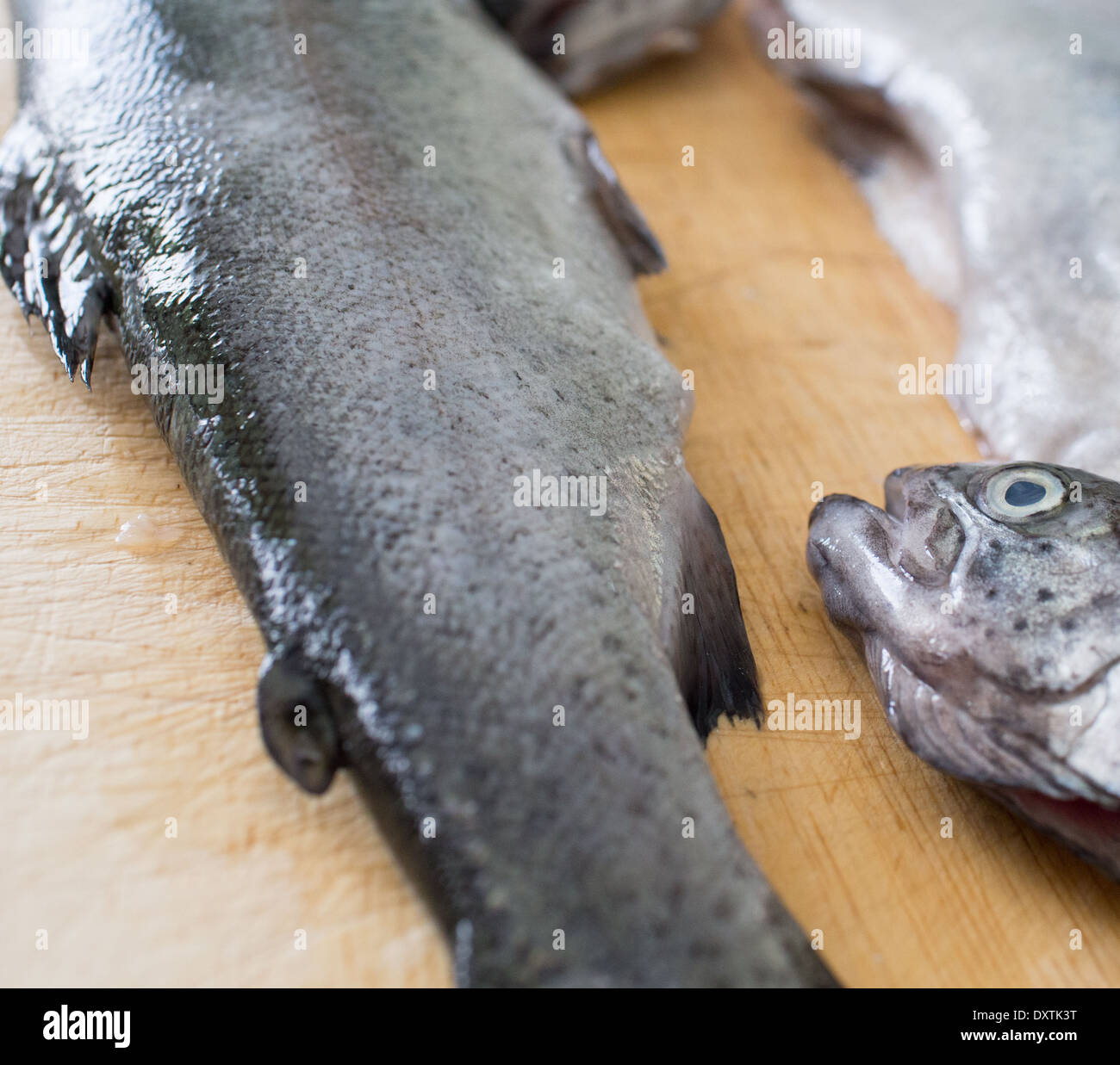 In Polish cuisine, on the Polish table. Trout from family fish ...