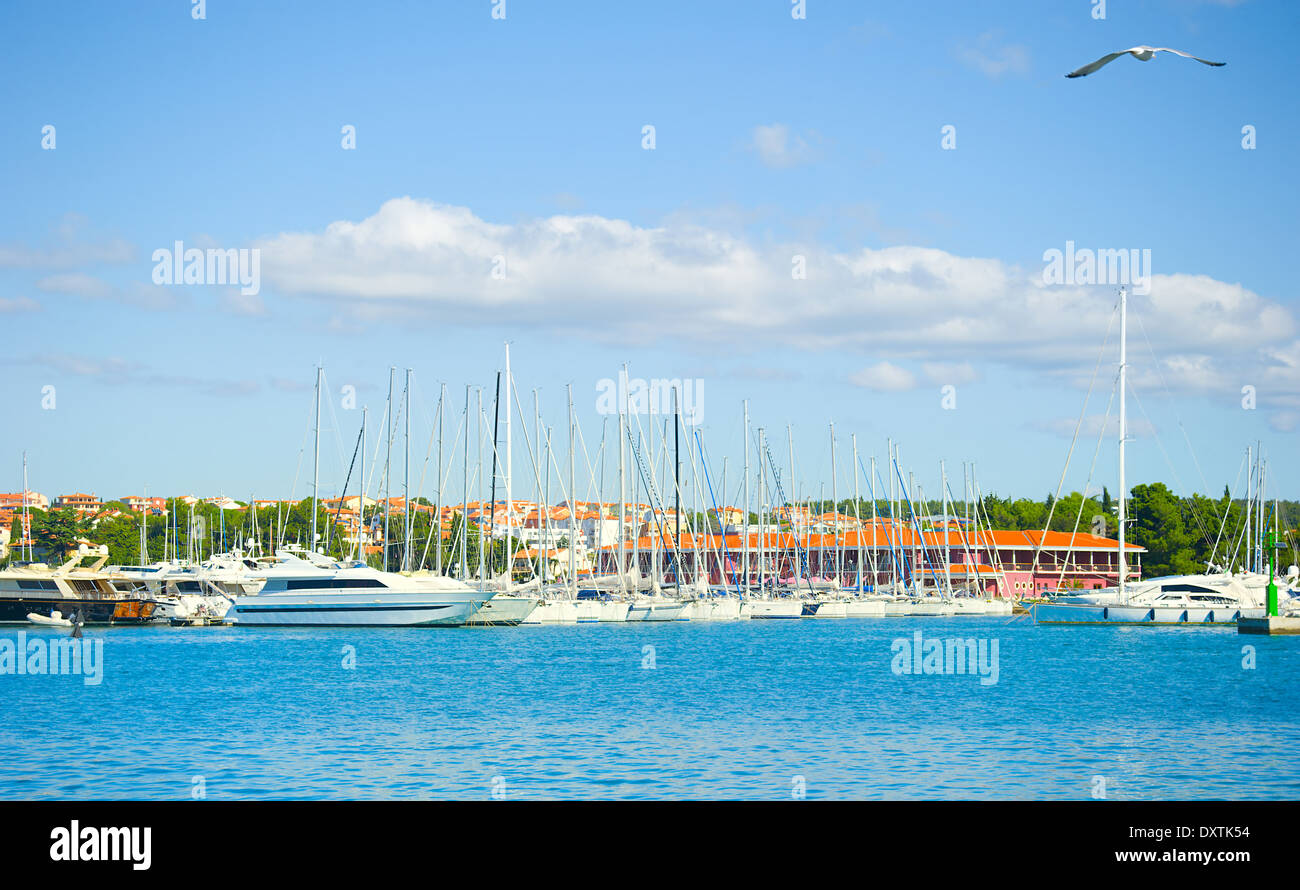 Beautiful view on yachts in Novigrad port, Croatia Stock Photo - Alamy