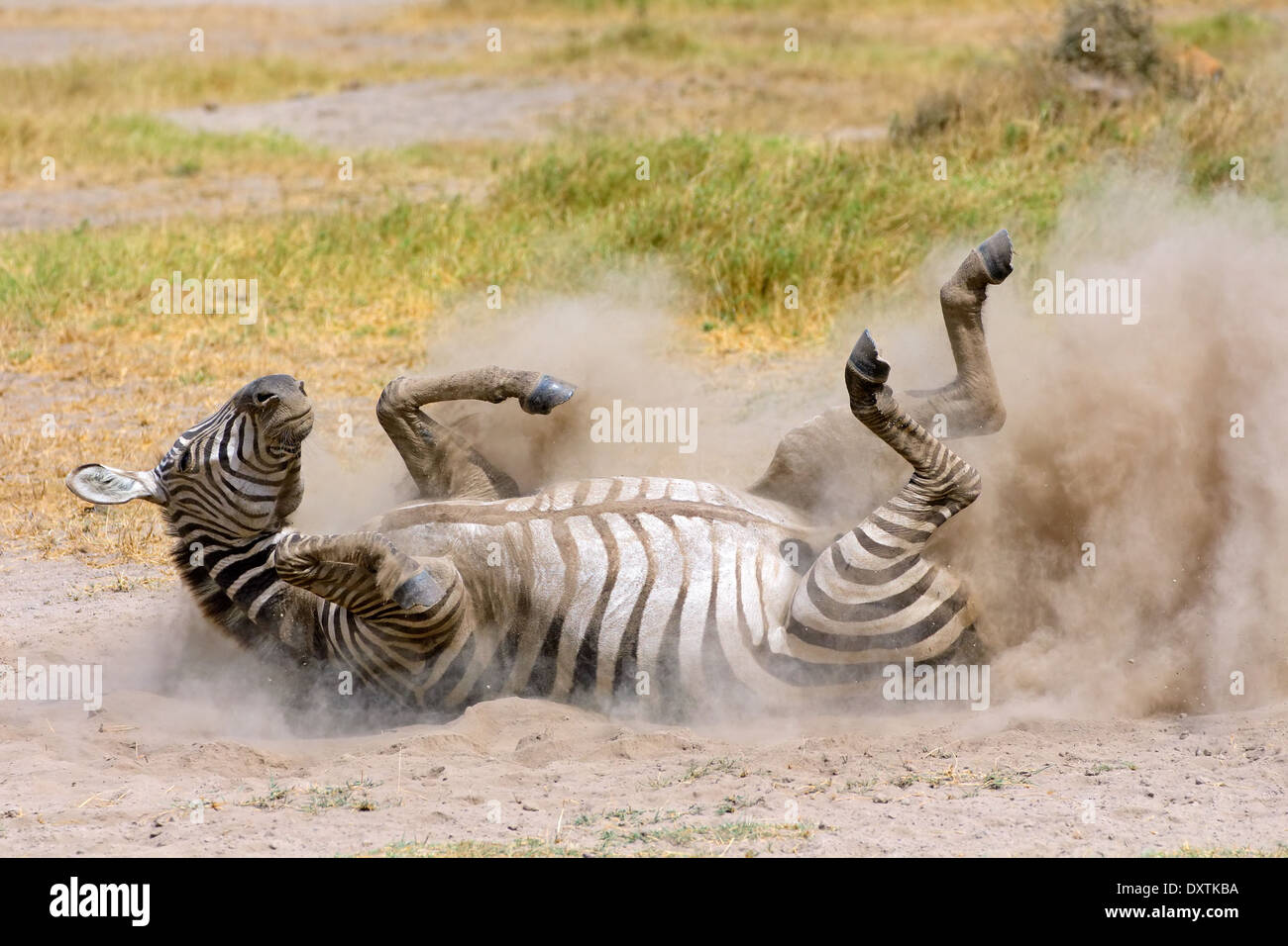 Rolling plains hi-res stock photography and images - Alamy