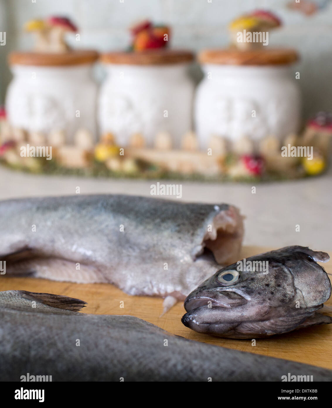 In Polish cuisine, on the Polish table. Trout from family fish ...