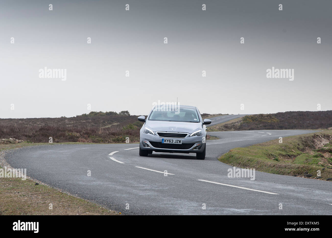 2014 Peugeot 308 Feline Stock Photo - Alamy