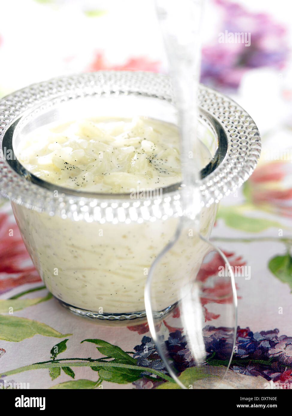 Vanilla-flavored rice pudding Stock Photo - Alamy