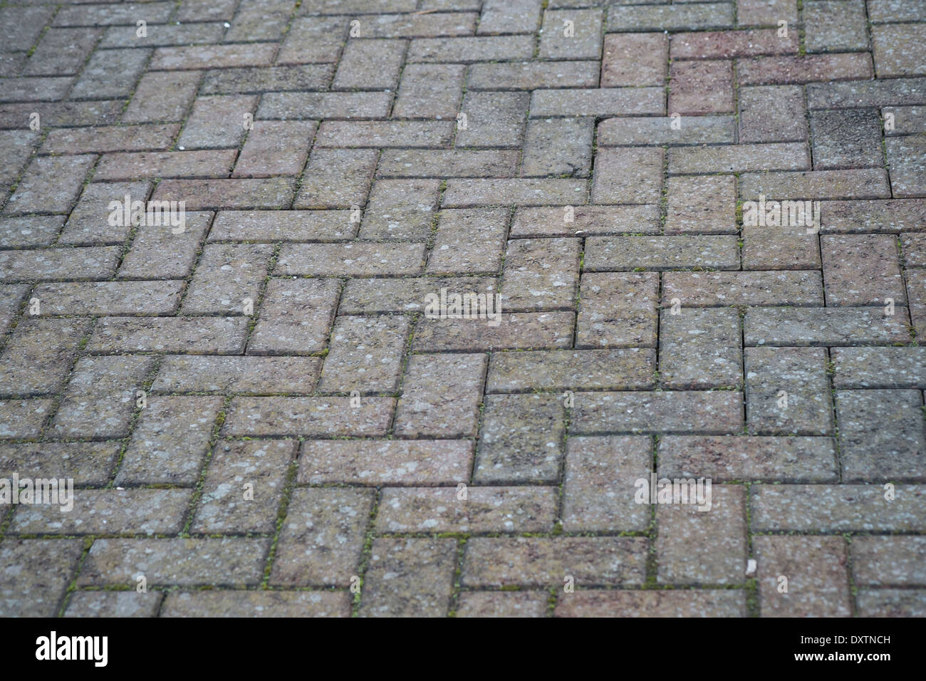 Paving stone patterns hi-res stock photography and images - Alamy