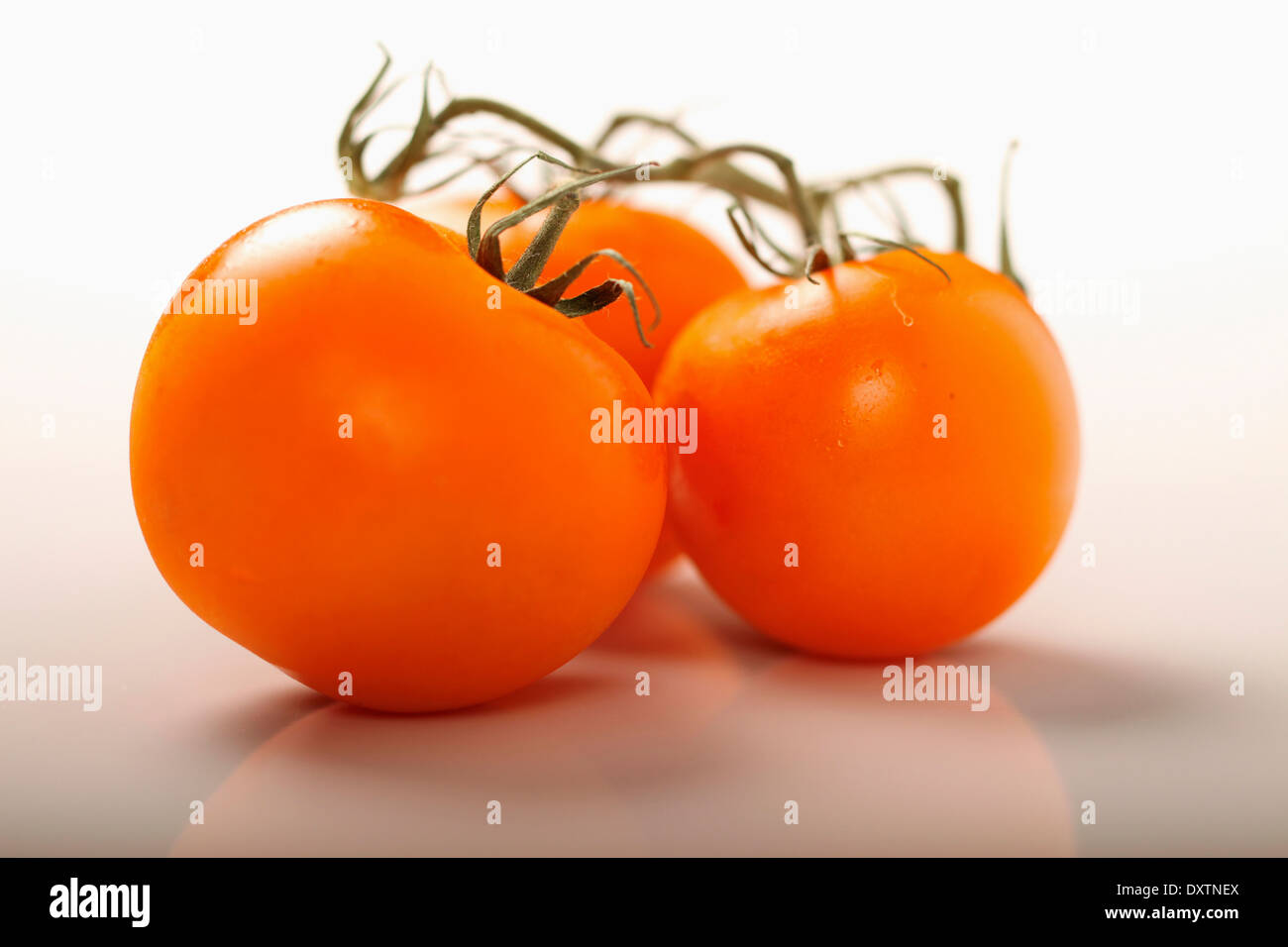 Bunch of orange tomatoes Stock Photo - Alamy