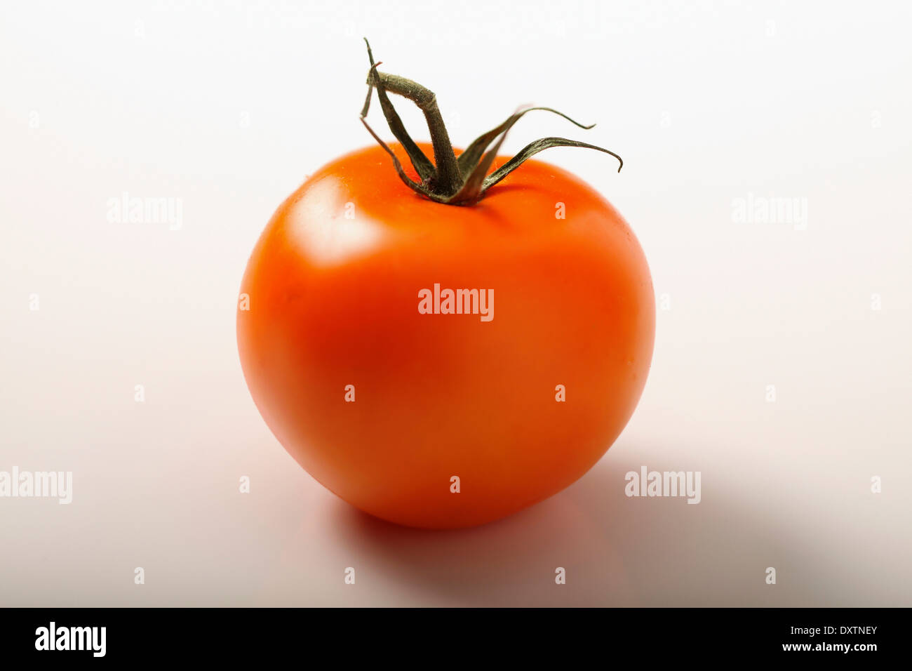 Orange tomato hi-res stock photography and images - Alamy