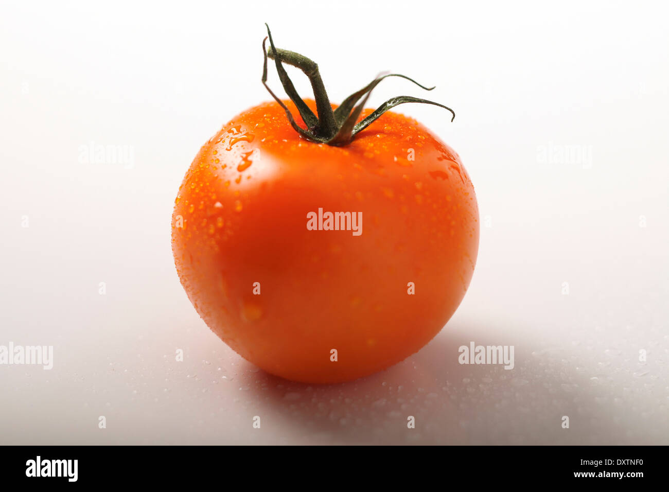 Orange tomato High Resolution Stock Photography and Images - Alamy