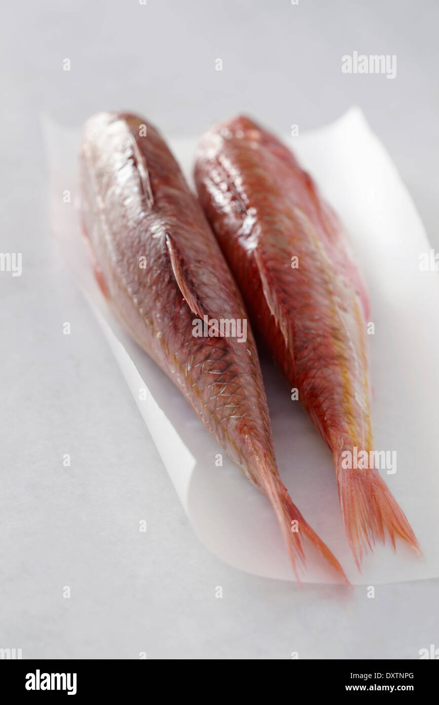 Whole raw red mullets Stock Photo - Alamy