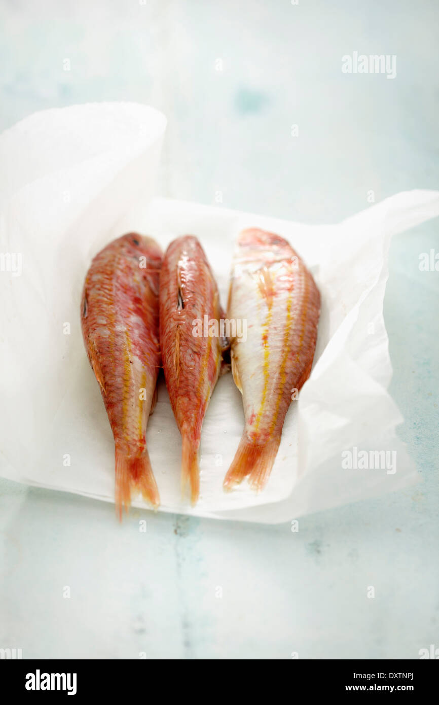Whole raw red mullets Stock Photo - Alamy
