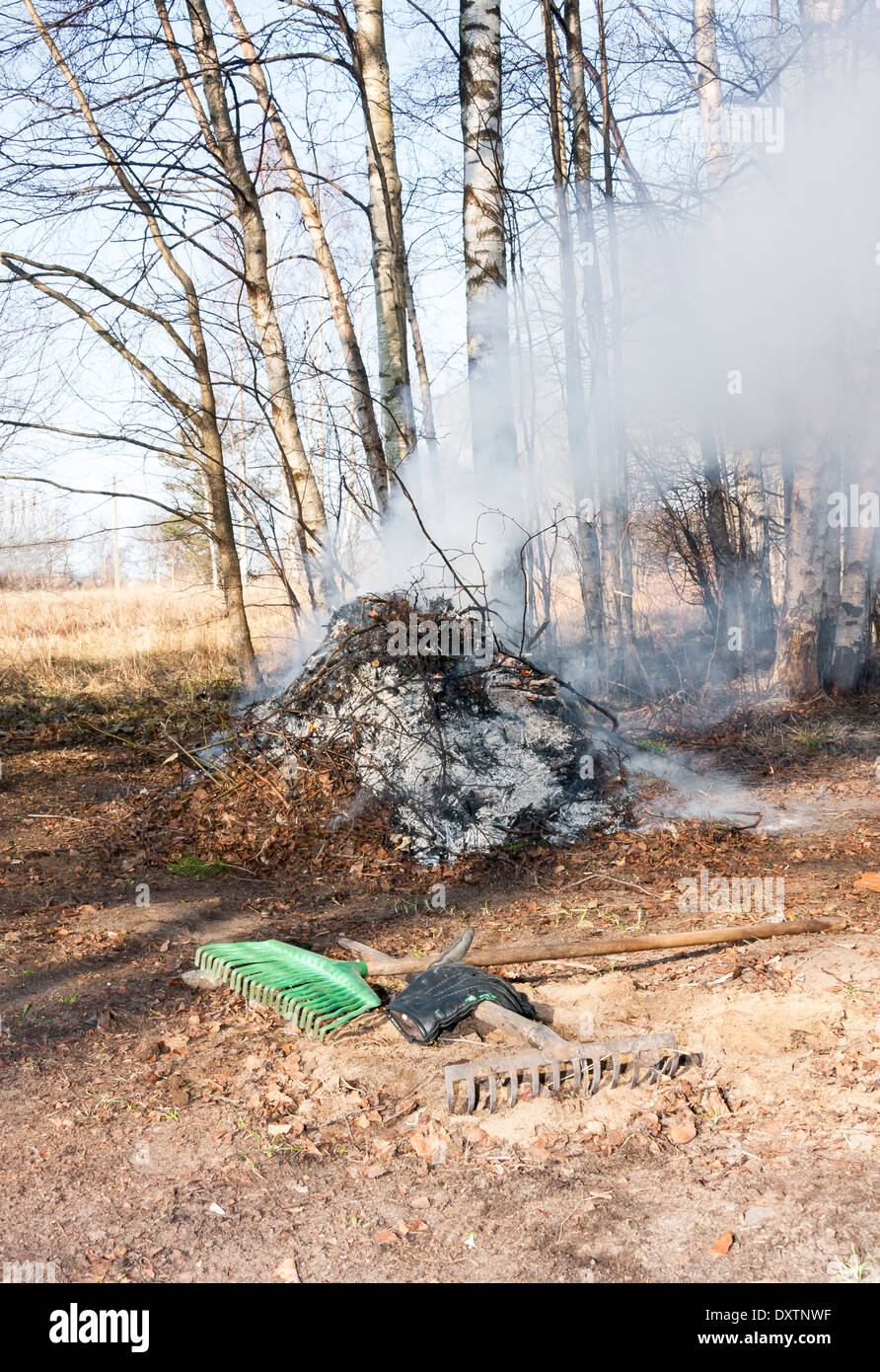 Plastic rake hi-res stock photography and images - Alamy