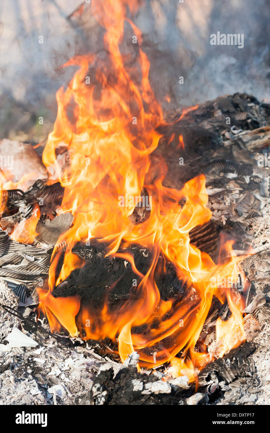 Fire flames around burning tree log Stock Photo - Alamy