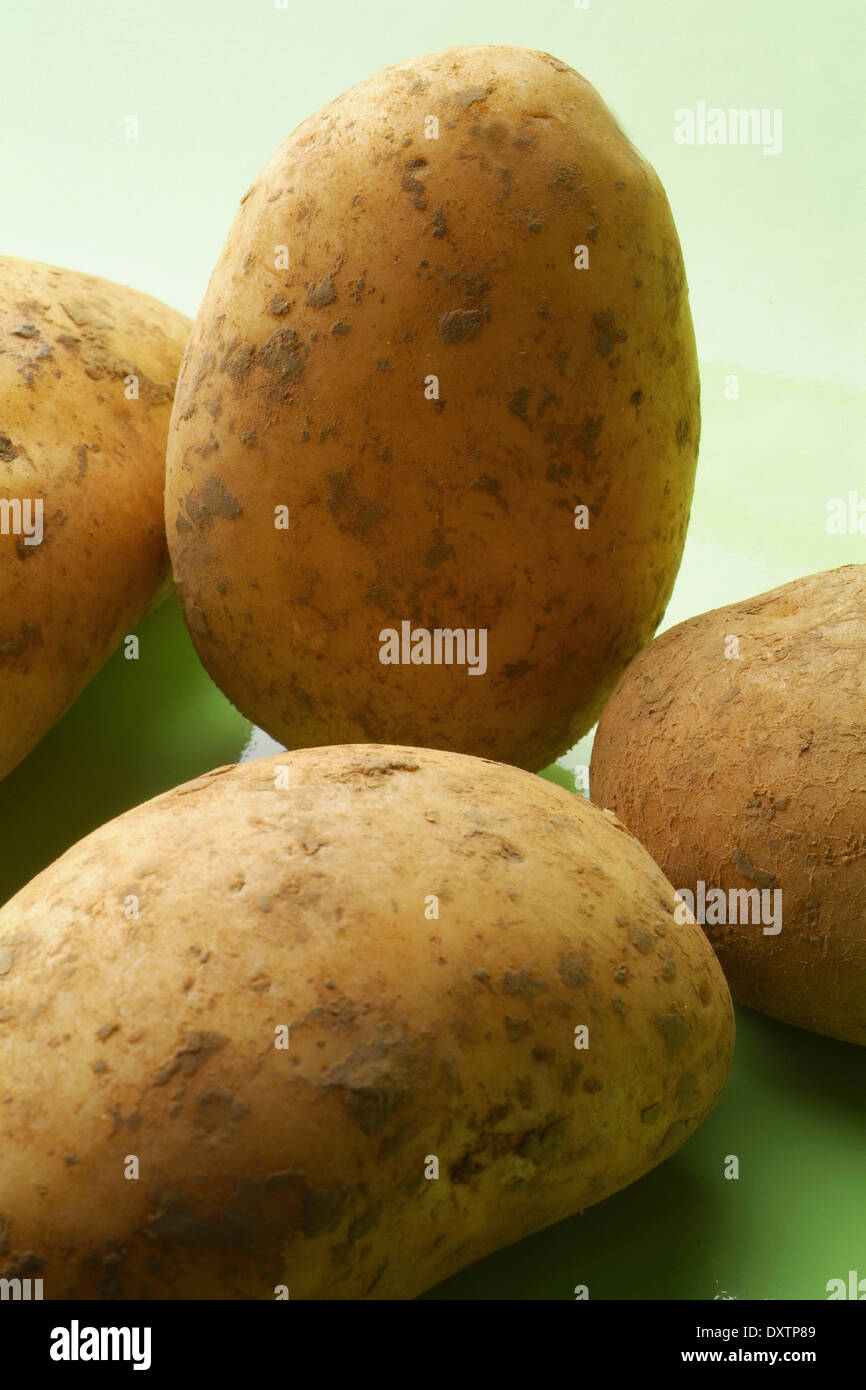 Bintje potato hi-res stock photography and images - Alamy