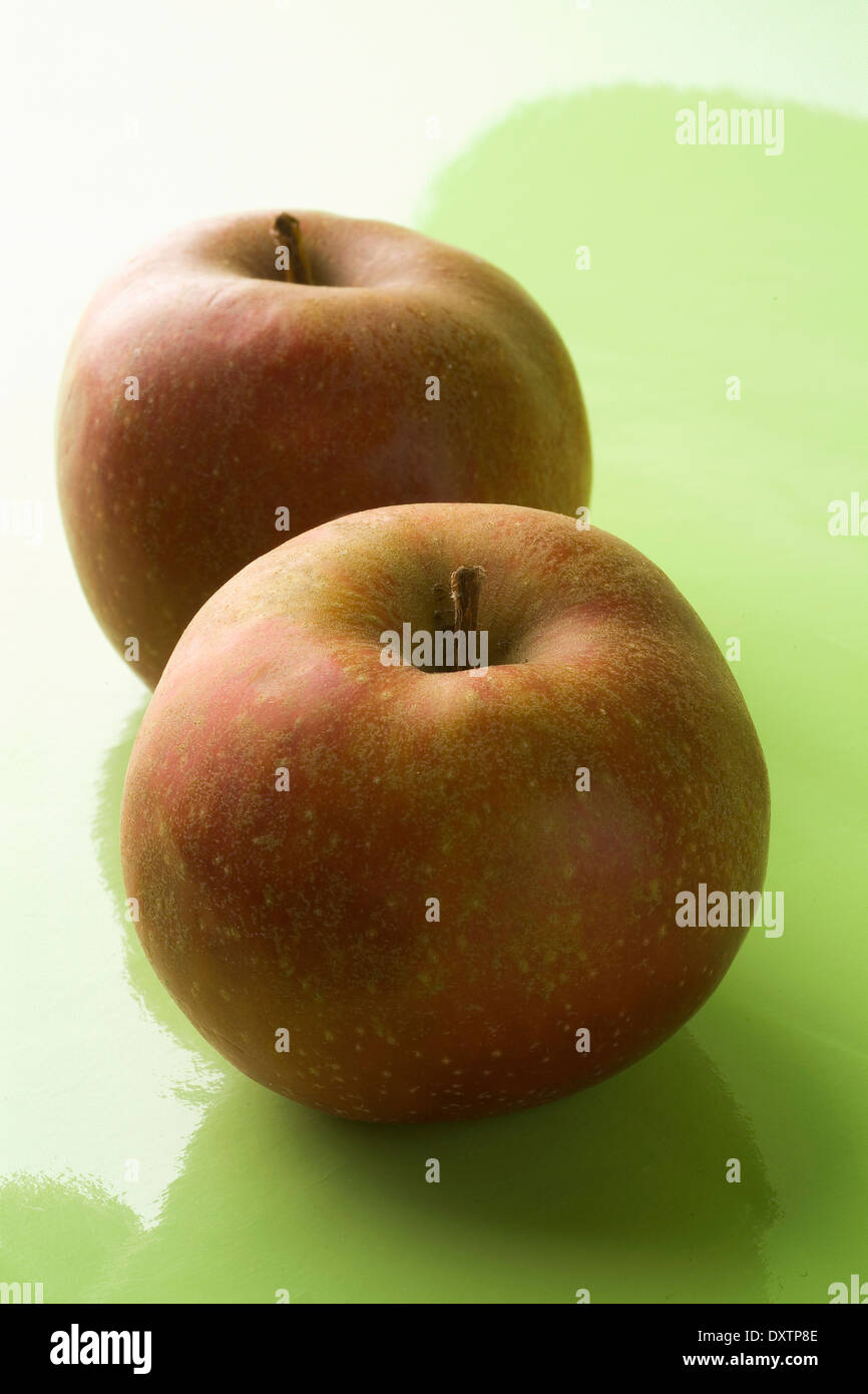 Belle de Boskoop apples Stock Photo - Alamy