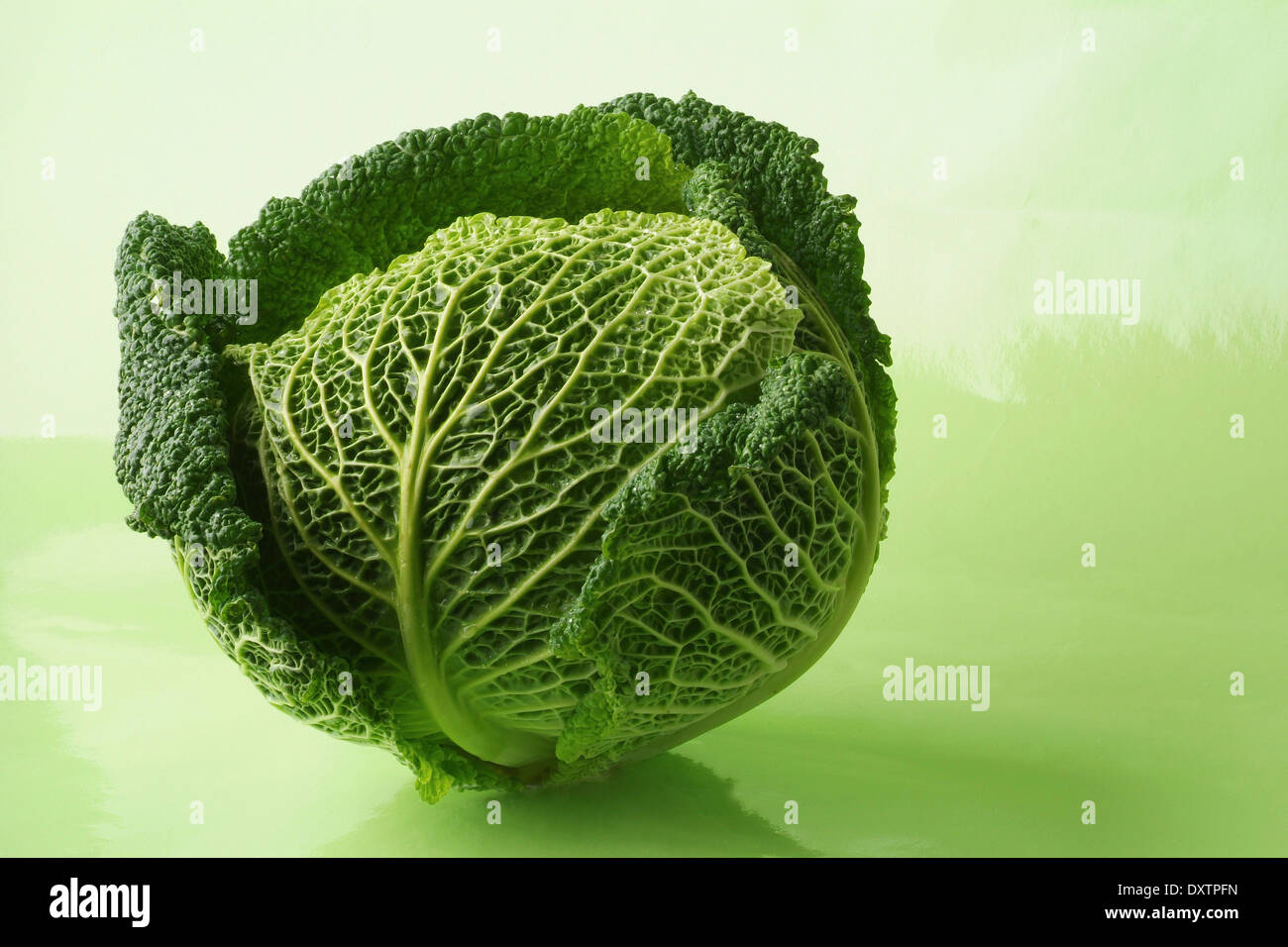 Curly cabbage hi-res stock photography and images - Alamy