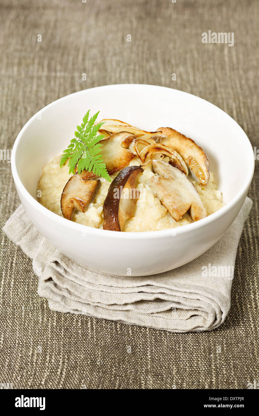 Carnaroli superfino rice risotto with ceps Stock Photo - Alamy
