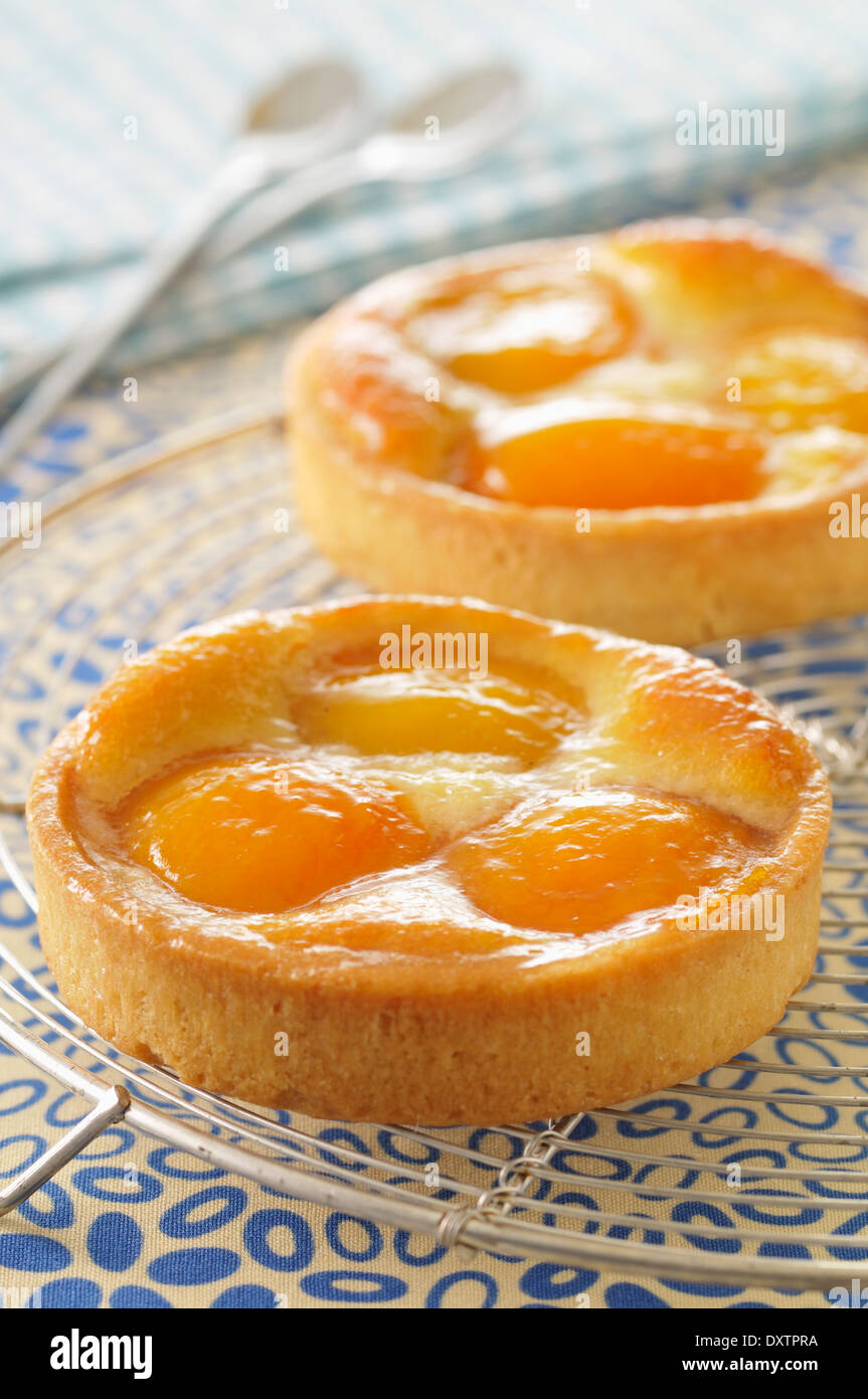 Apricot tartlet hi-res stock photography and images - Alamy