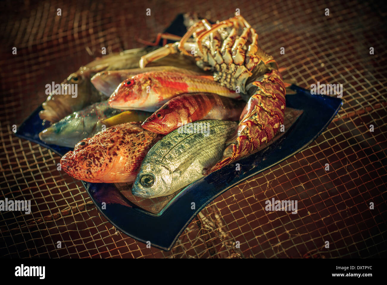 Variety of fresh fish Stock Photo - Alamy