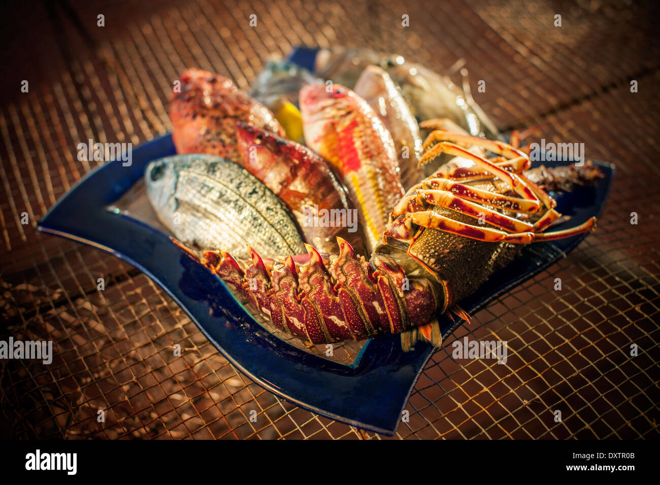 Variety of fresh fish Stock Photo - Alamy