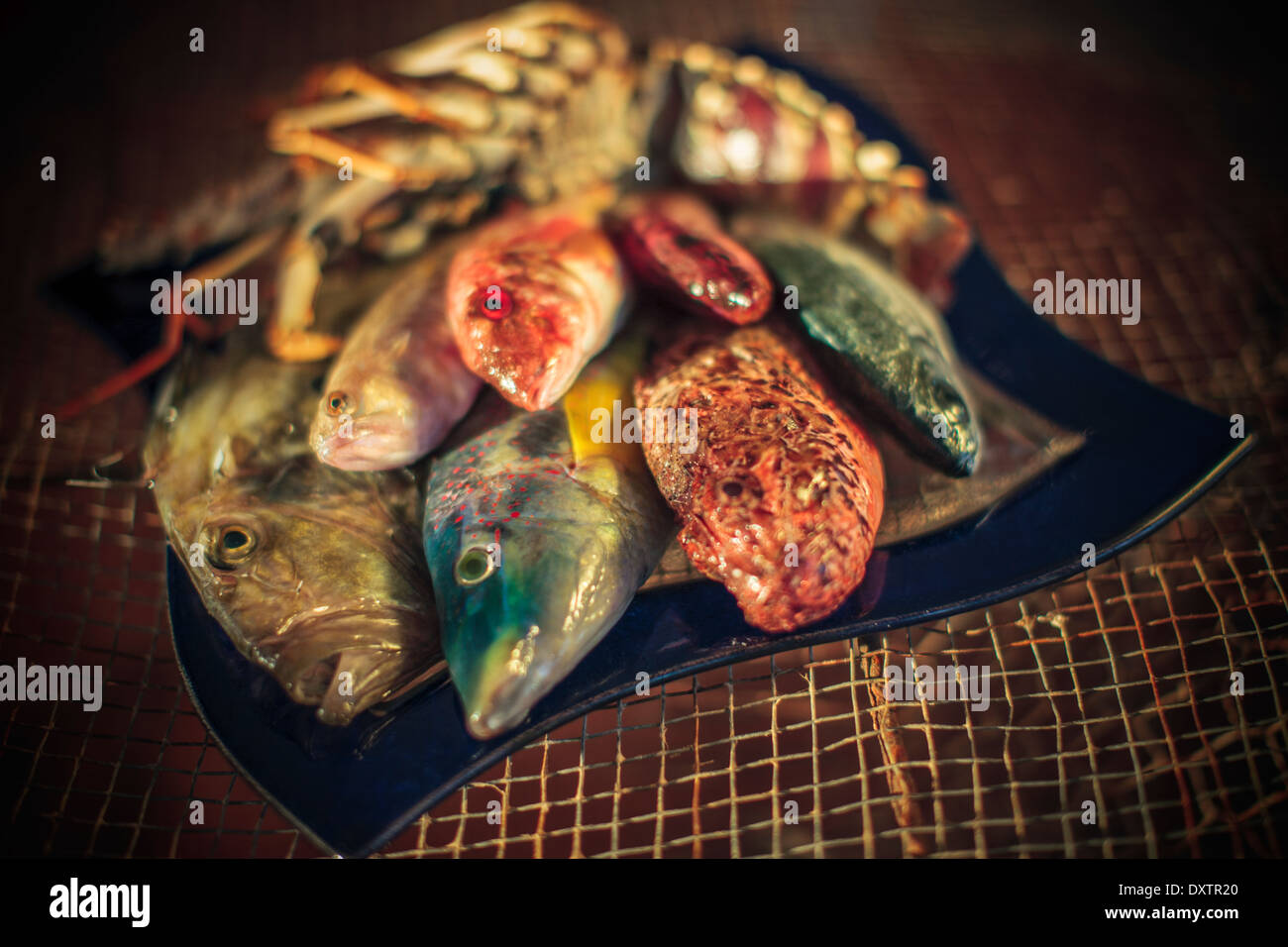 Variety of fresh fish Stock Photo - Alamy