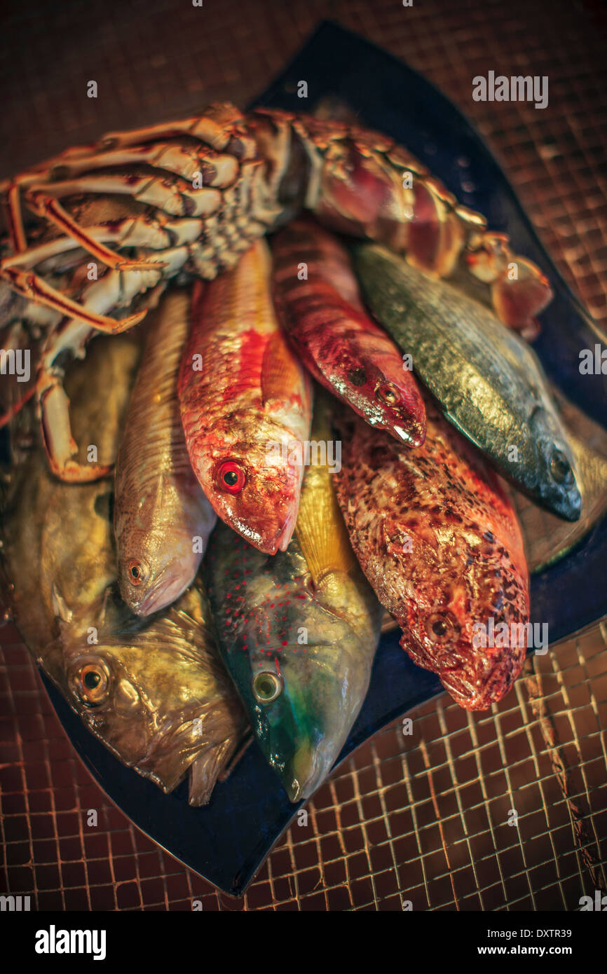 Variety of fresh fish Stock Photo - Alamy