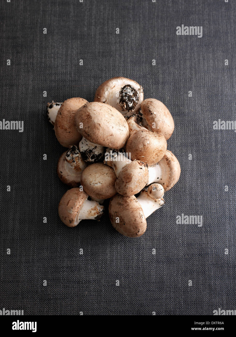 Button mushrooms food still hi-res stock photography and images - Alamy